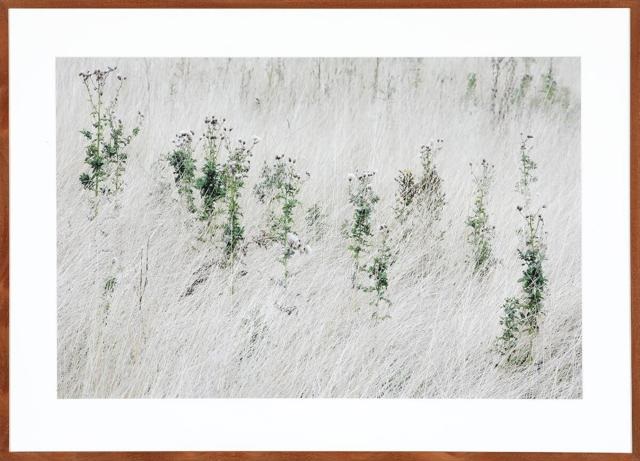 Tidsler by Per Bak Jensen on artnet