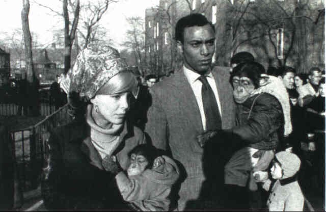 CENTRAL PARK ZOO, NEW YORK CITY by Garry Winogrand on artnet