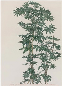 Sam Szafran | Artnet