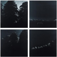 Sophy Rickett | Artnet