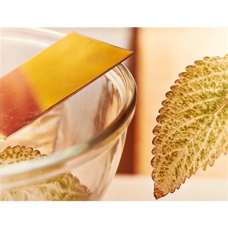 Three works of art Untitled Still Life by Jan Groover on artnet