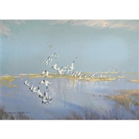 Vernon Ward | Artnet