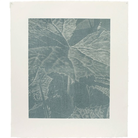 Bagatelle Pestwurz Detail 2 by Franz Gertsch on artnet