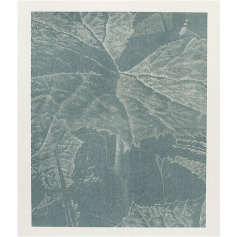 Bagatelle Pestwurz Detail 2 by Franz Gertsch on artnet