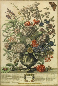 Robert Furber | Artnet