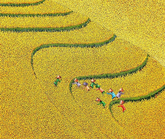 Saat Panen Tiba by Joe Armaya on artnet