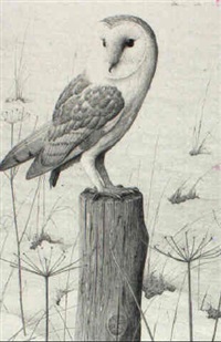 Simon Turvey | Artnet