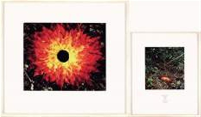 Kaede leaves around a hole set of 2 by Andy Goldsworthy on artnet