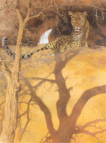 Leopard at Rest by Kim Donaldson on artnet