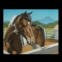 Robert Rishell | Artnet