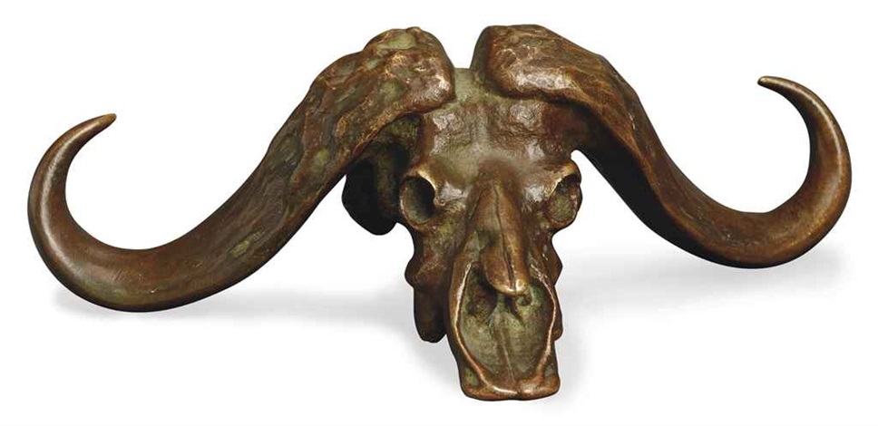 Model of a water buffalo skull by James Lippitt Clark on artnet