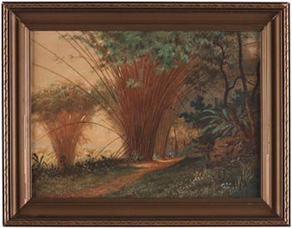 Bamboo Arch, Trinidad by Michel Jean Cazabon on artnet