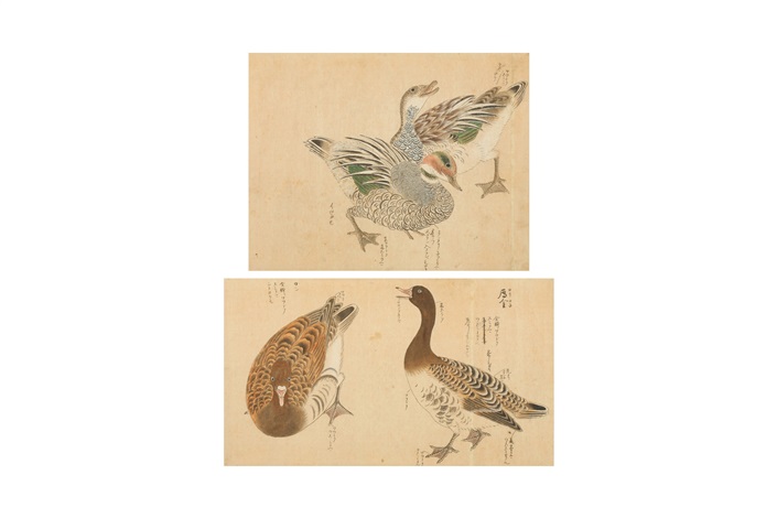 TWO JAPANESE DUCK PAINTINGS. Edo Period on artnet