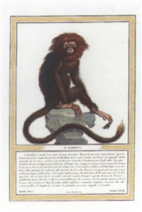 Nicolas Henri Jacob | Artnet