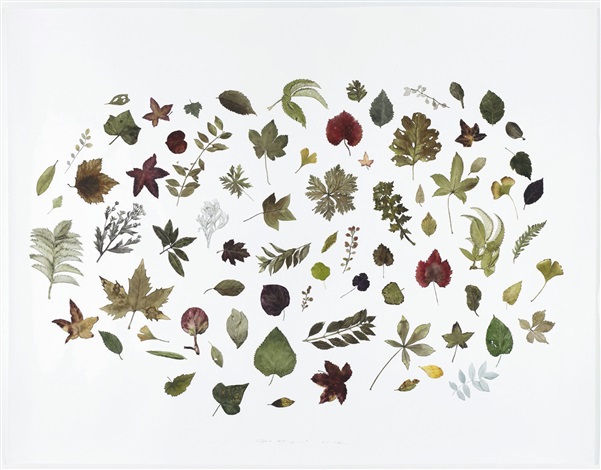 PLANT NO. 12 by Guo Hongwei on artnet