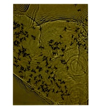 Susan Derges | Artnet