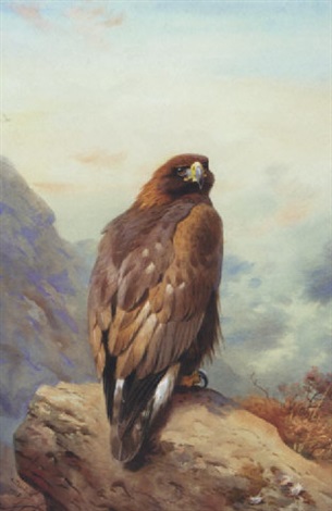 Golden eagle by Archibald Thorburn on artnet