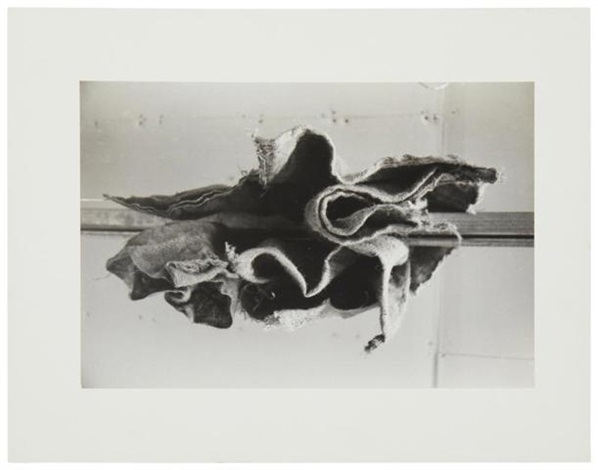 A large group of 41 black and white photographs by Amy Conger by Amy ...