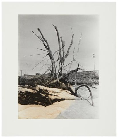 A large group of 41 black and white photographs by Amy Conger by Amy ...