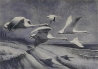 Rex Brasher | Artnet