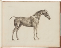 George Stubbs | Artnet