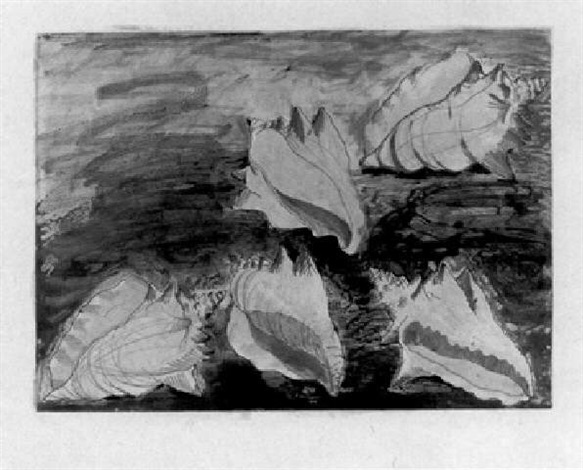 Five shells by Jim Dine on artnet