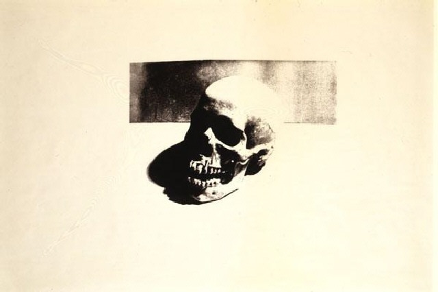 Skull by Andy Warhol on artnet