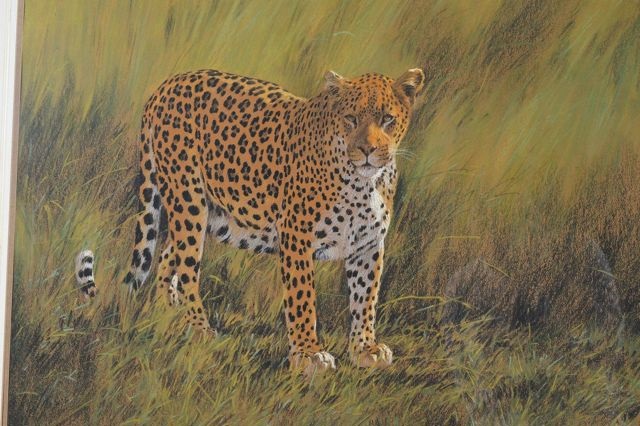 Leopard by Kim Donaldson on artnet