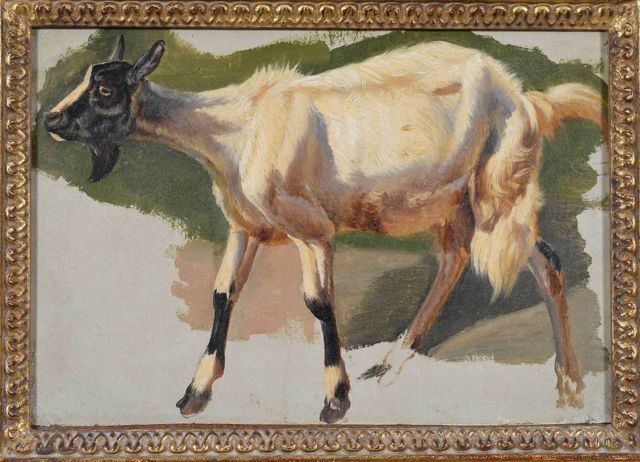 Study of a Goat by Sir Edwin Henry Landseer on artnet