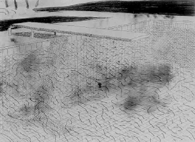 Lithograph of water made of lines by David Hockney on artnet