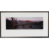 Warren Marr | Artnet