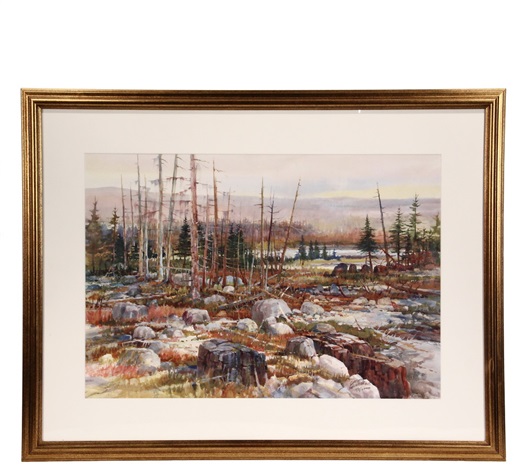 Northern Maine Woods by Carlton Plummer on artnet