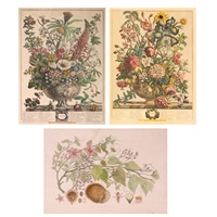 Robert Furber | Artnet