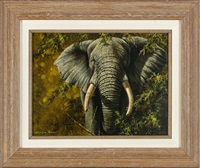 Andrew Bone | Artnet