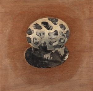 Lichtschwamm by Hugo Suter on artnet