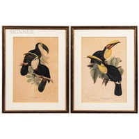 John and Elizabeth Gould | Artnet