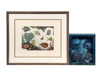 Judith Hall | Artnet