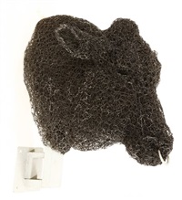 Rupert Till | Artnet