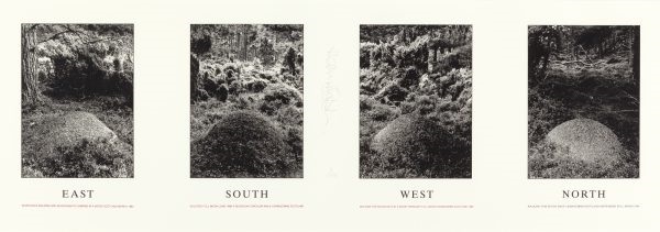 Seven Days Walk East-South-West-North by Hamish Fulton on artnet