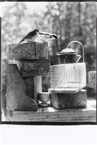 Jan Groover | Artnet