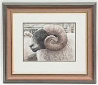 Mary Ann Rogers | Artnet