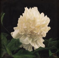 Zhu Shuangda | Artnet