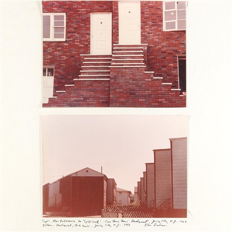 Rear Entrances to Split Level by Dan Graham on artnet