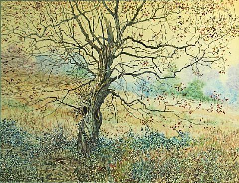 A tree in autumn by Andrew Nathaniel Wyeth on artnet