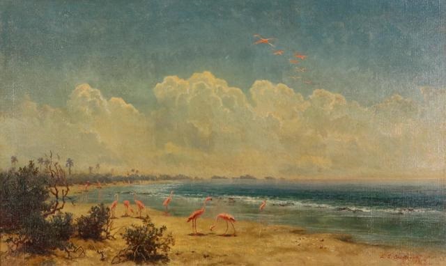 Tropical coastal landscape with flamingos foraging on the coastline by ...