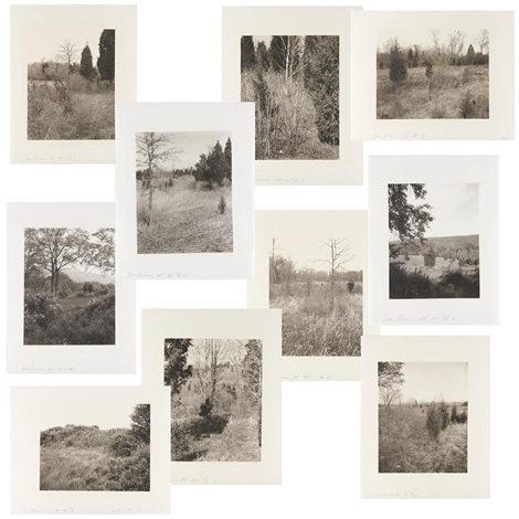 Plain Fields by Jan Groover on artnet