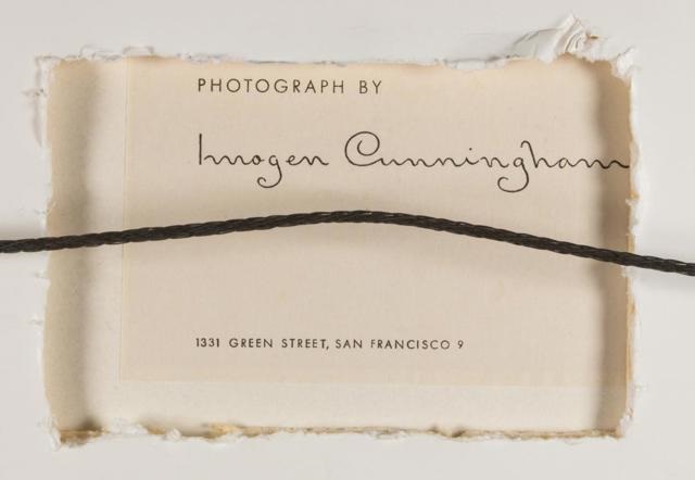 Young Family by the Pond by Imogen Cunningham on artnet