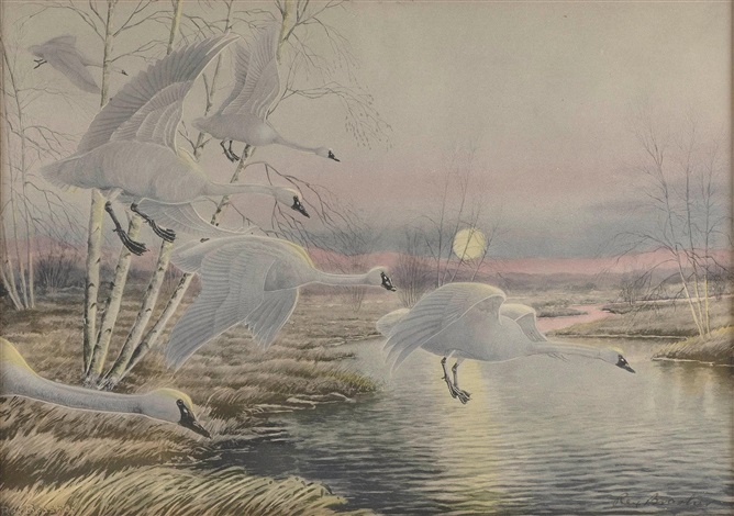 Swans in Flight by Rex Brasher on artnet