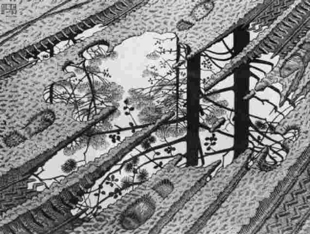 Puddle by M.C Escher on artnet