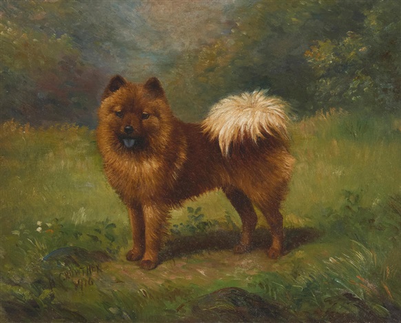 Pomeranian by Henry Crowther on artnet